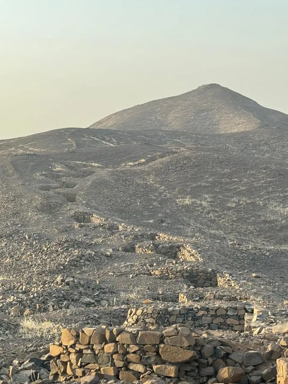 سنا | الرئيسية